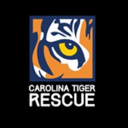 Carolina Tiger Rescue | Pittsboro, NC | Chewy