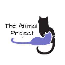 The Animal Project | New York, NY | Chewy