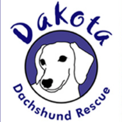 Dakota Dachshund Rescue | Sioux Falls, SD | Chewy