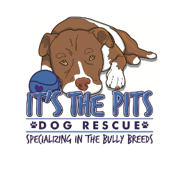 It's The Pits | Poway, CA | Chewy