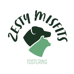 Zesty Misfits Fostering | Napoleon, OH | Chewy